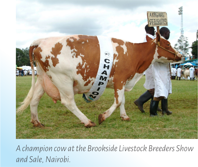 Brands - Brookside